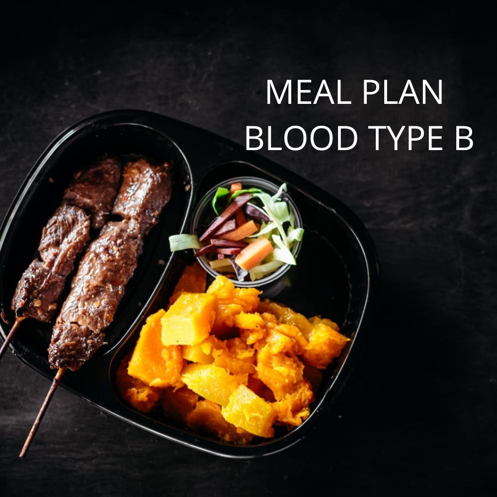 Meal Plan Blood Type B [DIGITAL FILE] — Mi Movement